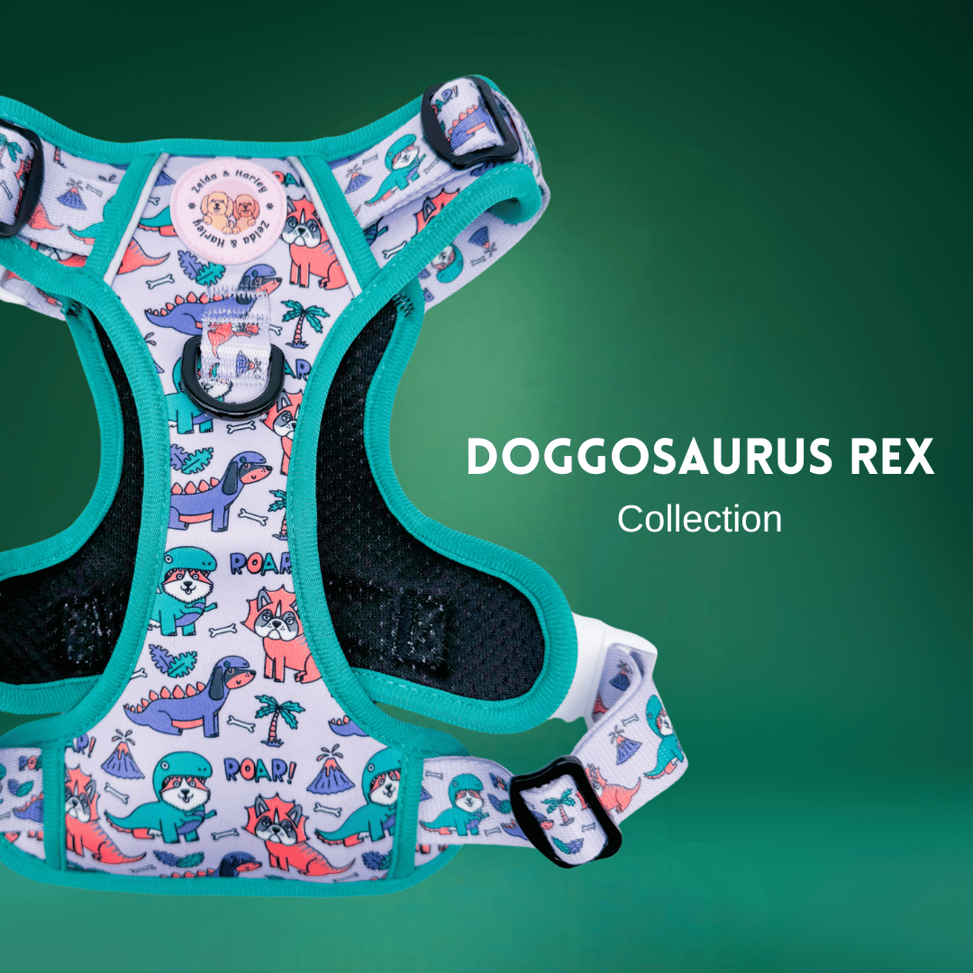 Doggosaurus Rex – Zelda & Harley