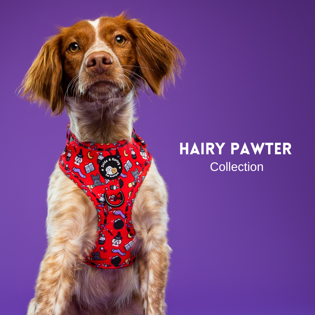 Hairy Pawter – Zelda & Harley