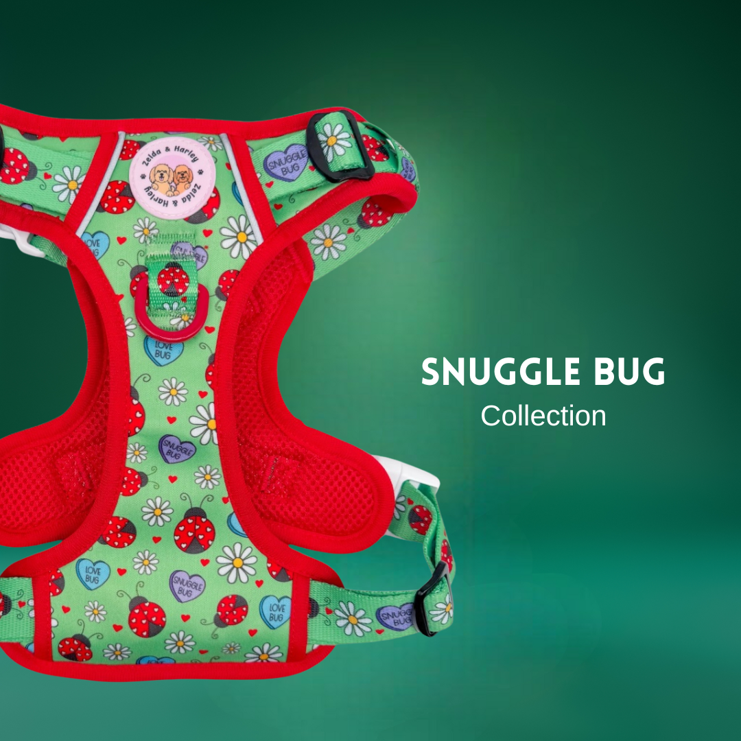 Snuggle Bug – Zelda & Harley