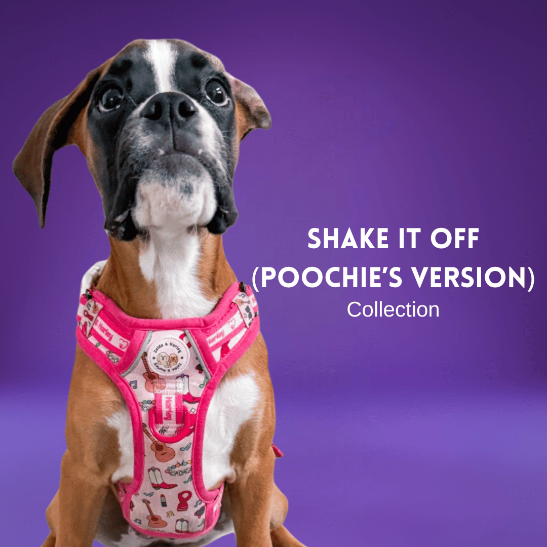 Shake it Off (Poochie's Version) – Zelda & Harley