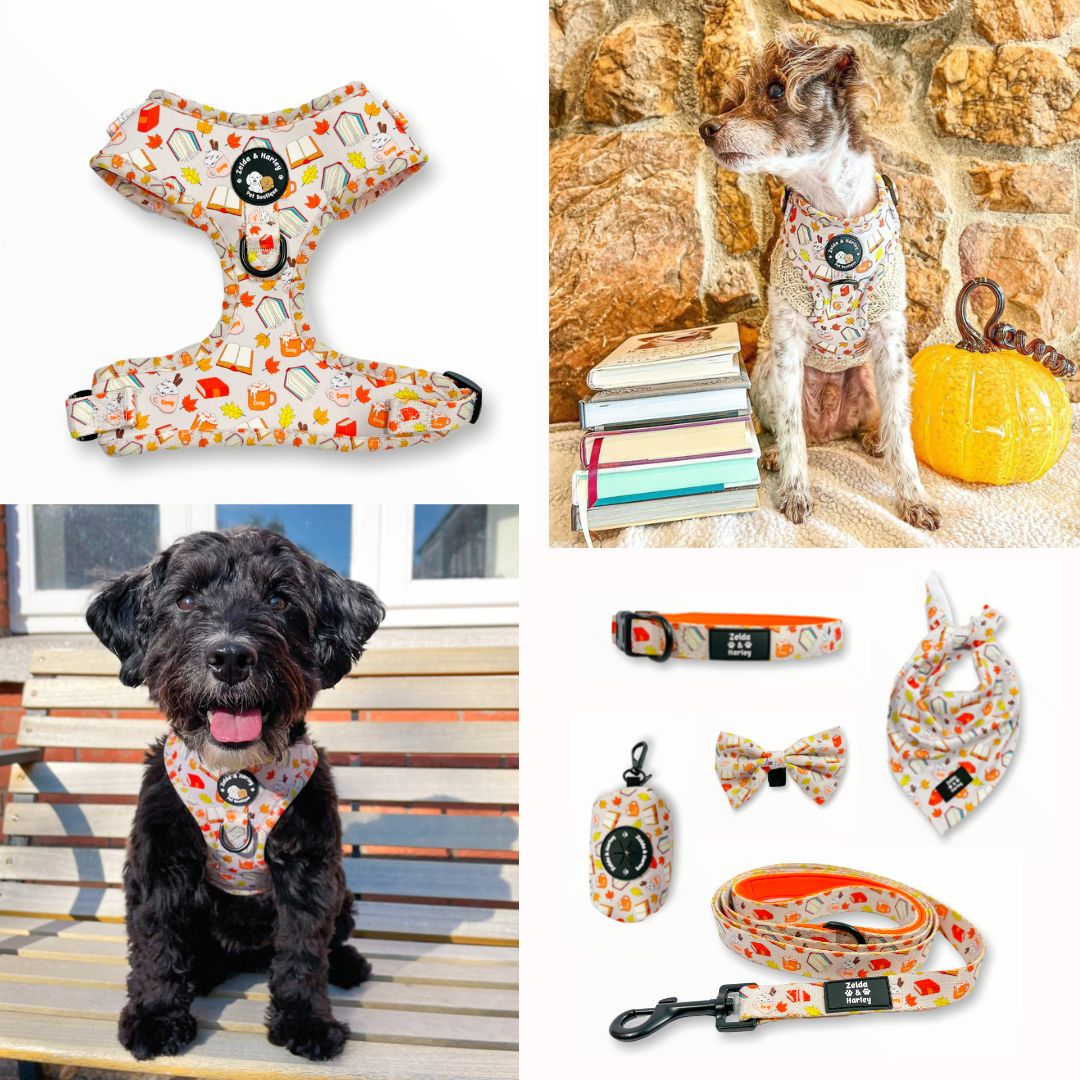 Build Your Own Bundle - Pawtumn Paws – Zelda & Harley