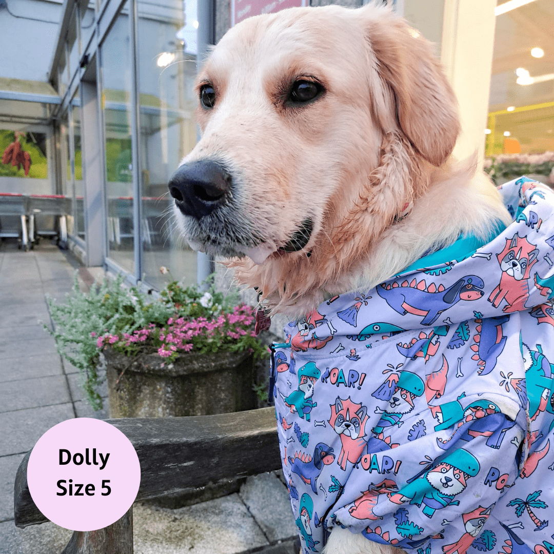 Doggosaurus Rex Reversible Raincoat – Zelda & Harley